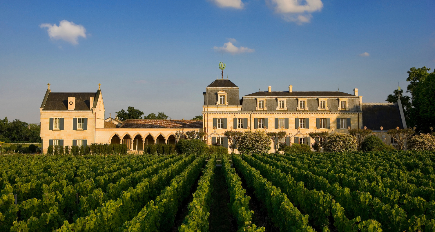 Les Crus Classés de Graves - Pessac-Léognan